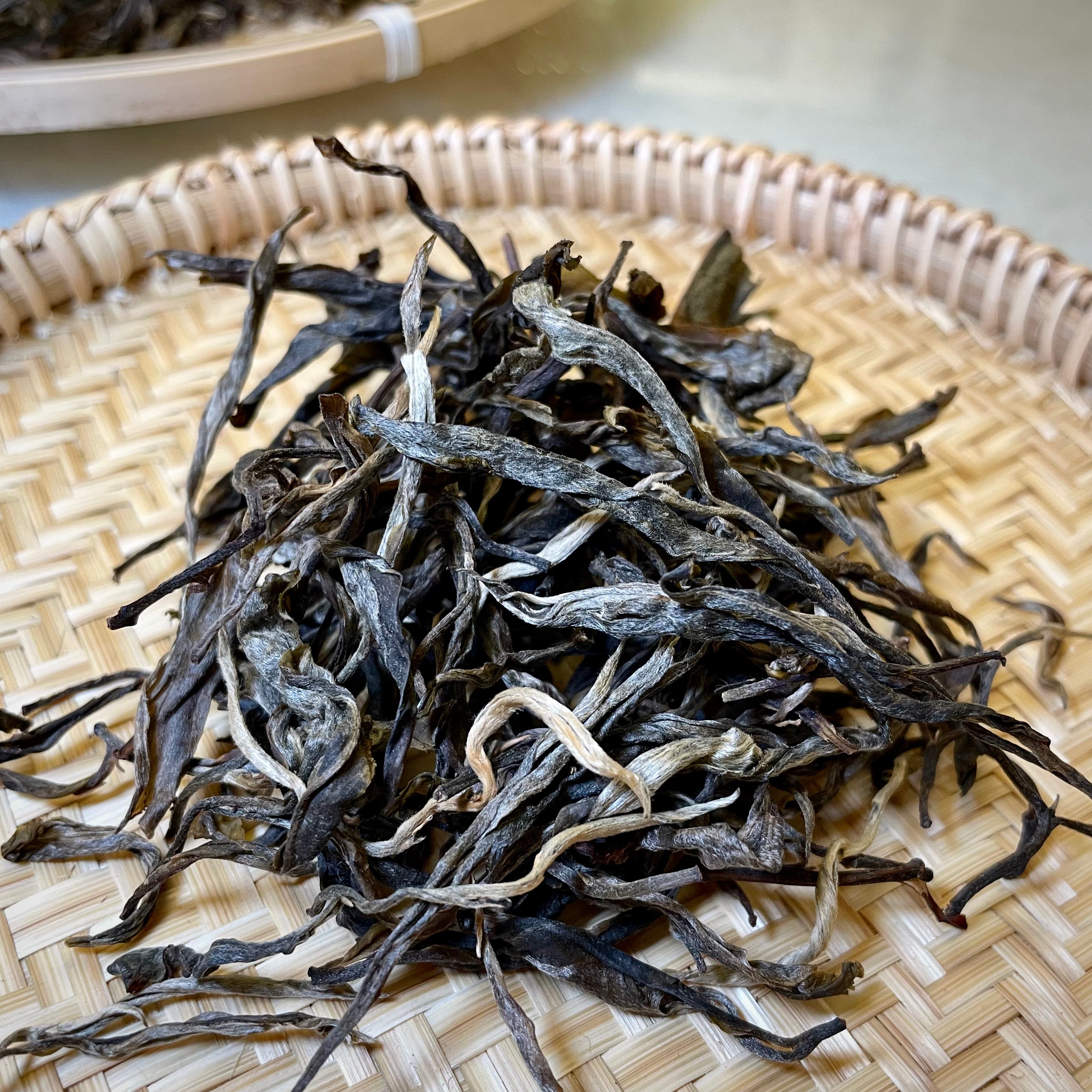 2022 Spring Hua Zhu Liang Zi Loose Maocha – FatBat Puerh